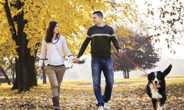 Pet-Friendly Practices for Fall | Family Life Tips Magazine: Parenting ...