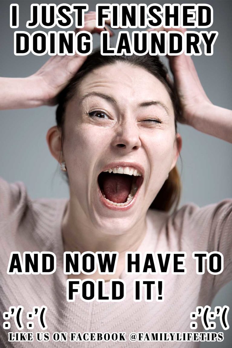 Laundry Meme: I just finished doing laundry and now have to fold it ...